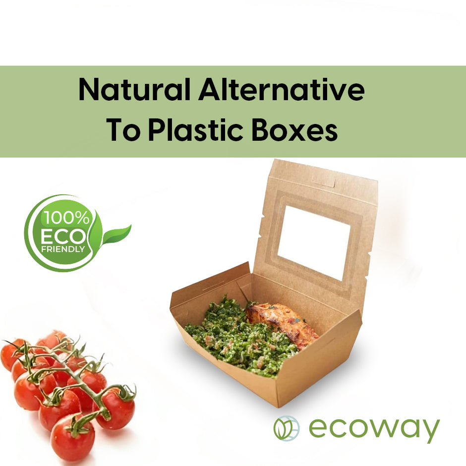 Eco-Friendly Dining: Embrace Biodegradable Lunch Boxes! – Ecoway
