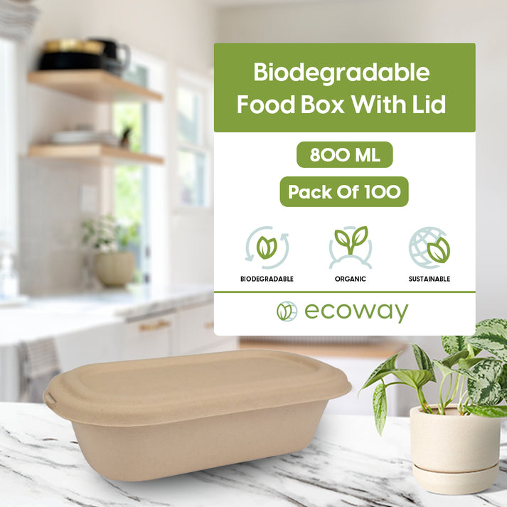 Food Box with Lid 100 Pcs | Ecoway Global